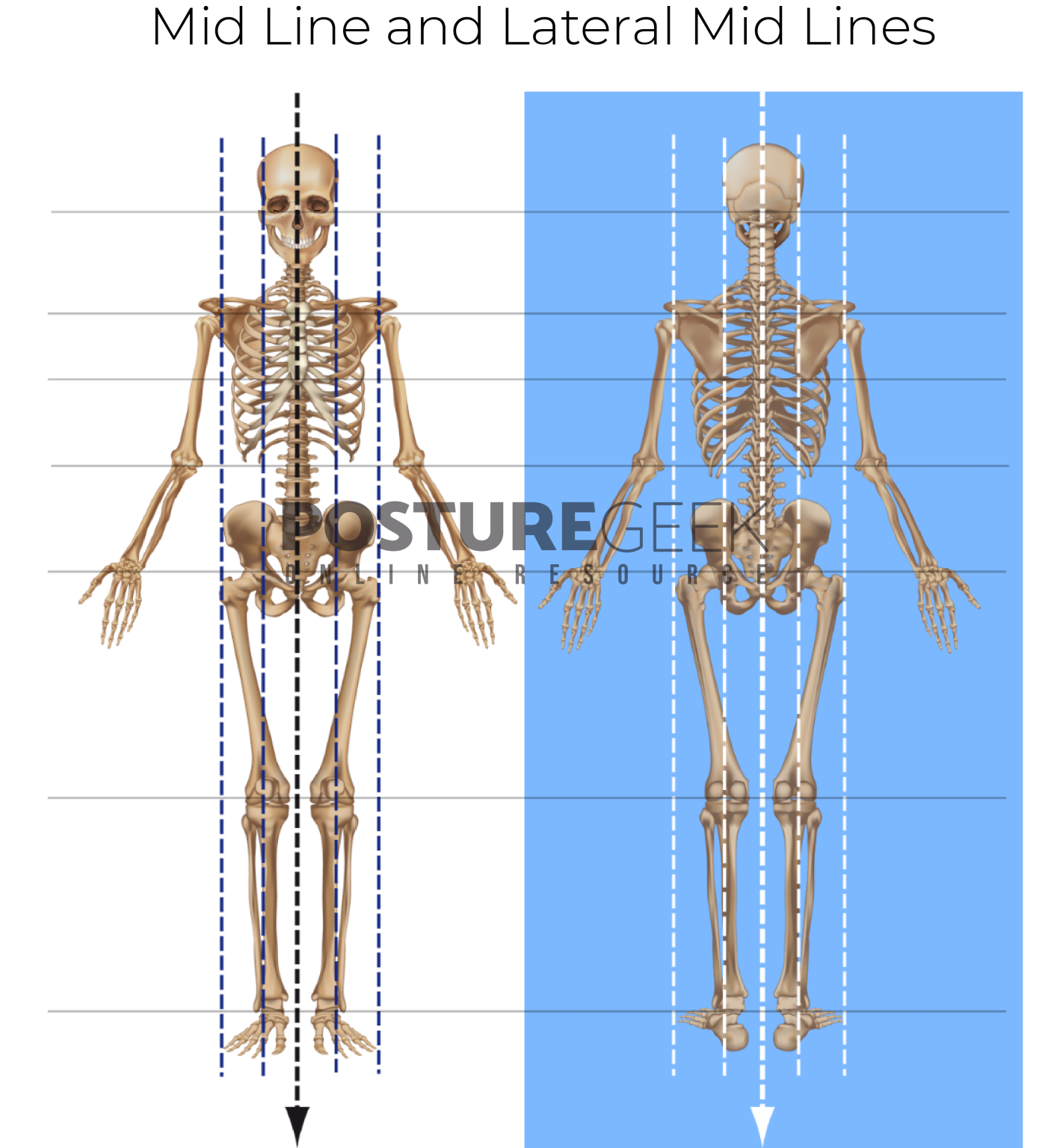 PostureGeek.Com: Expert Posture Guidance & Health Solutions