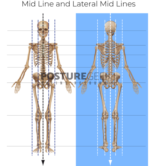 PostureGeek.Com: Expert Posture Guidance & Health Solutions