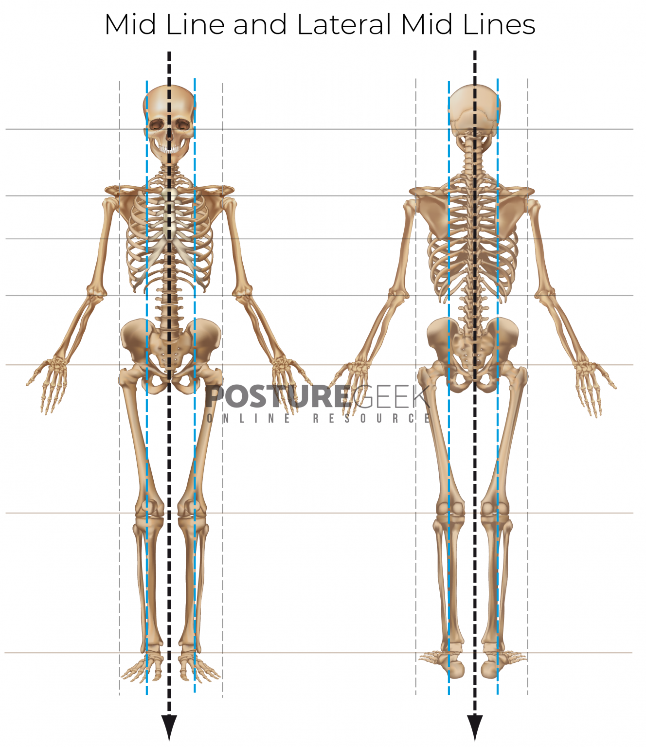 Posture Assessment From the Front View- Posture Geek
