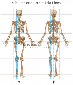 Posture Assessment From the Front View- Posture Geek