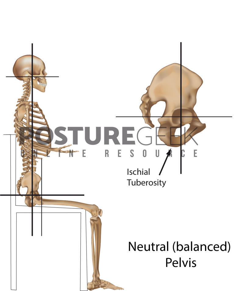 Correct Sitting Posture | Strategies To Assist You - Posture Geek
