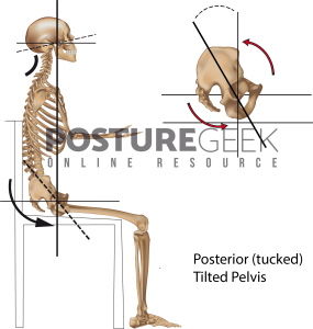 Sitting Posture Considerations - What About My Pelvis - POSTURE GEEK