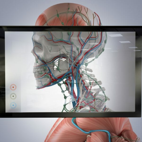 Head and Neck can influence Forward Head Posture - POSTURE GEEK
