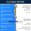 How To Know You Have Flat Back Posture | PostureGeek.com