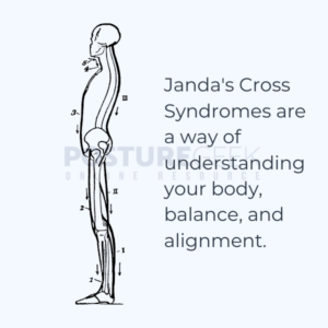 Upper Cross Syndrome and Lower Cross Syndrome - Janda