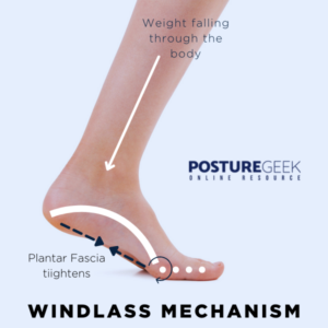 The Big Toe and How It Affects Walking | PostureGeek.com