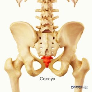 Coccyx Pain: How Hurting Your Coccyx Can Make Things Difficult