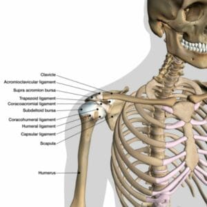 Uneven Shoulders: Why is one shoulders higher than the other?
