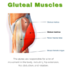 Why Glute Activation Is Essential For A Healthy Body