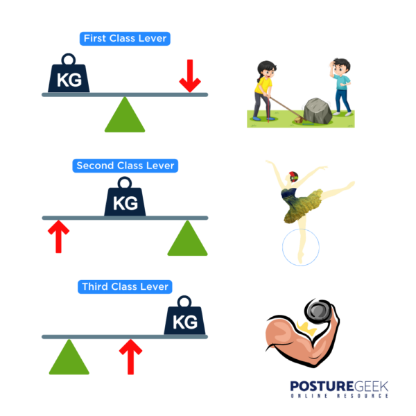 Biomechanics and Posture | PostureGeek.com