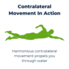 Contralateral Movement | PostureGeek.com