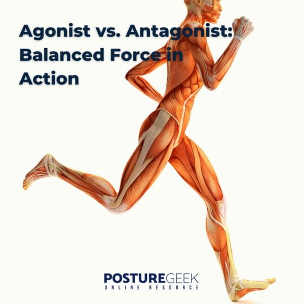 Muscle Co-contraction: Key Insights for Movement and Therapy