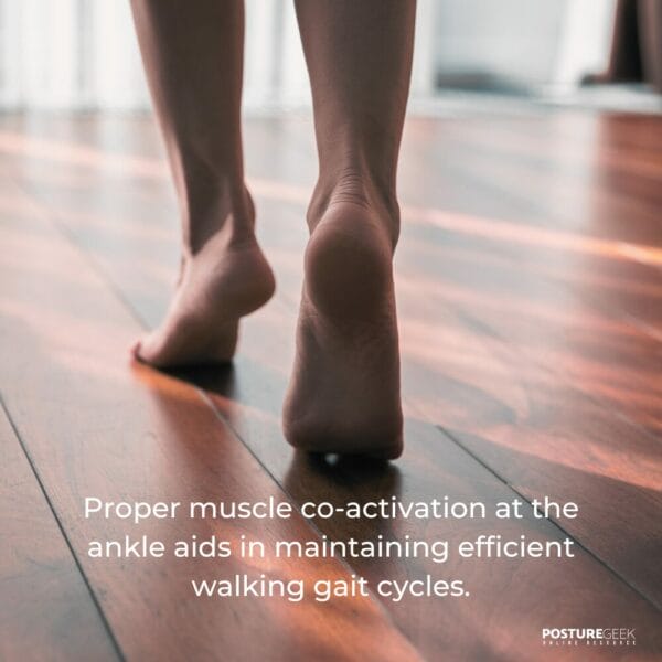 Muscle Co-contraction: Key Insights for Movement and Therapy