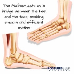 Midfoot: Importance, Care, and Common Issues