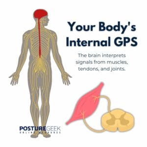 Proprioception Sense for Better Posture | PostureGeek.com