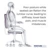 Lumbar Curve: Key to Spinal Health, Posture & Pain Relief
