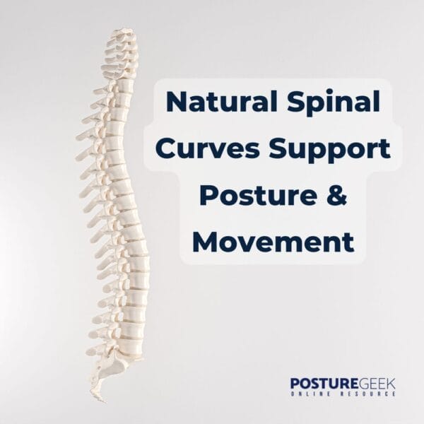 Lumbar Curve: Key to Spinal Health, Posture & Pain Relief