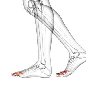 Forefoot Mechanics for Better Movement and Posture